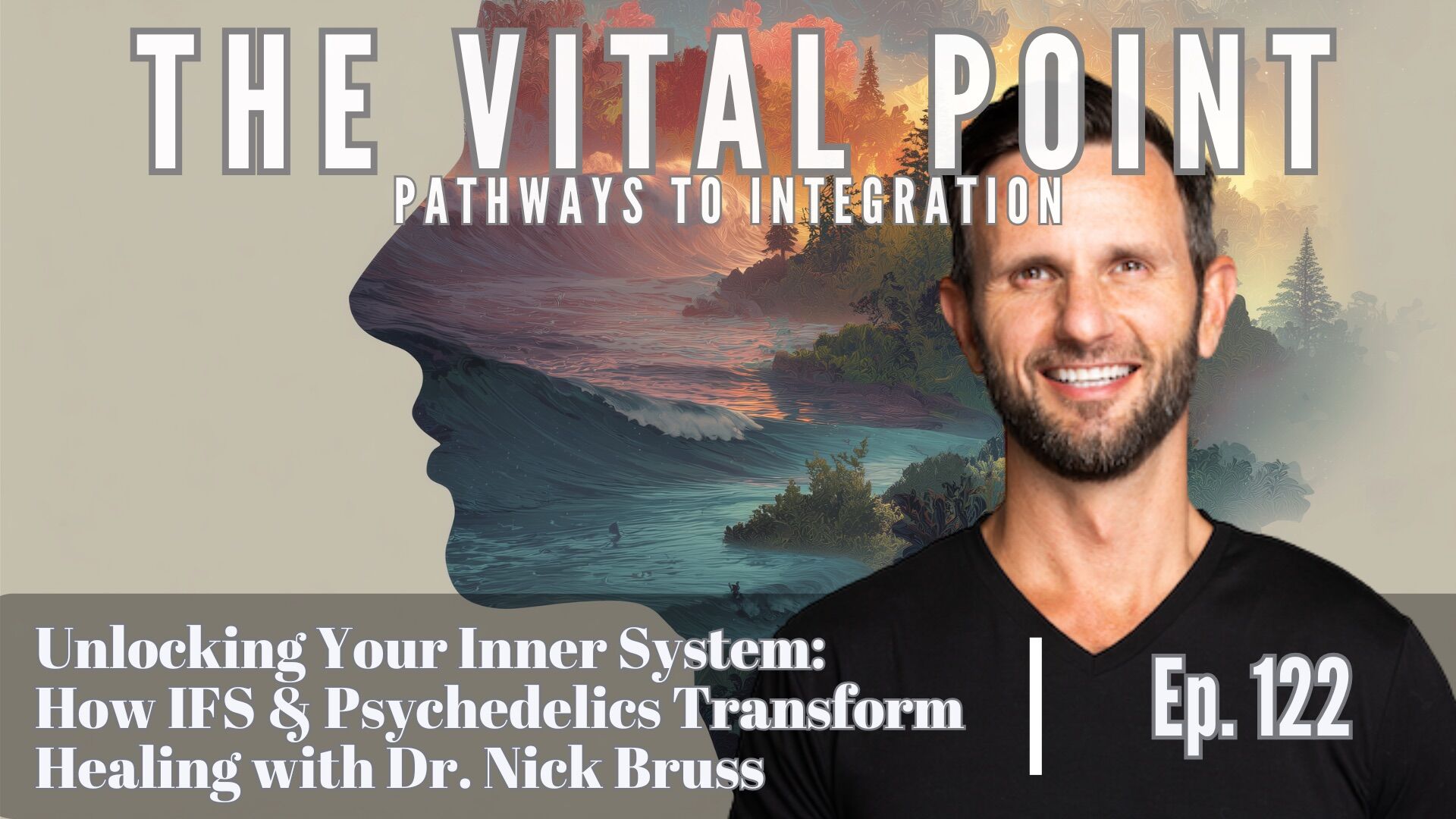 Unlocking Your Inner System: How IFS & Psychedelics Transform Healing with Dr. Nick Bruss (Ep ...